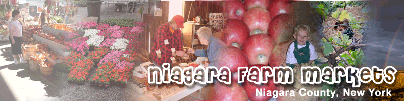 Local Tourism Links – Niagara Wine Trail, USA